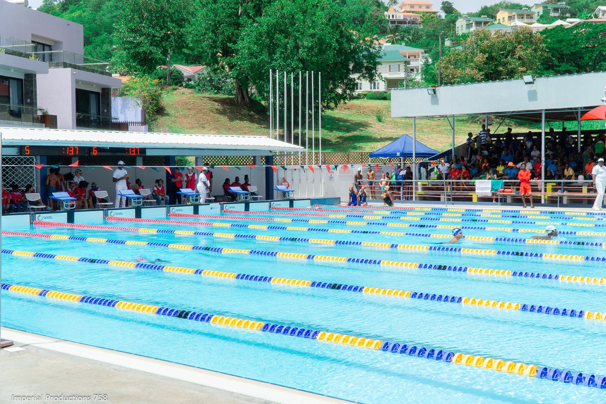 Sharks Swim Club Home