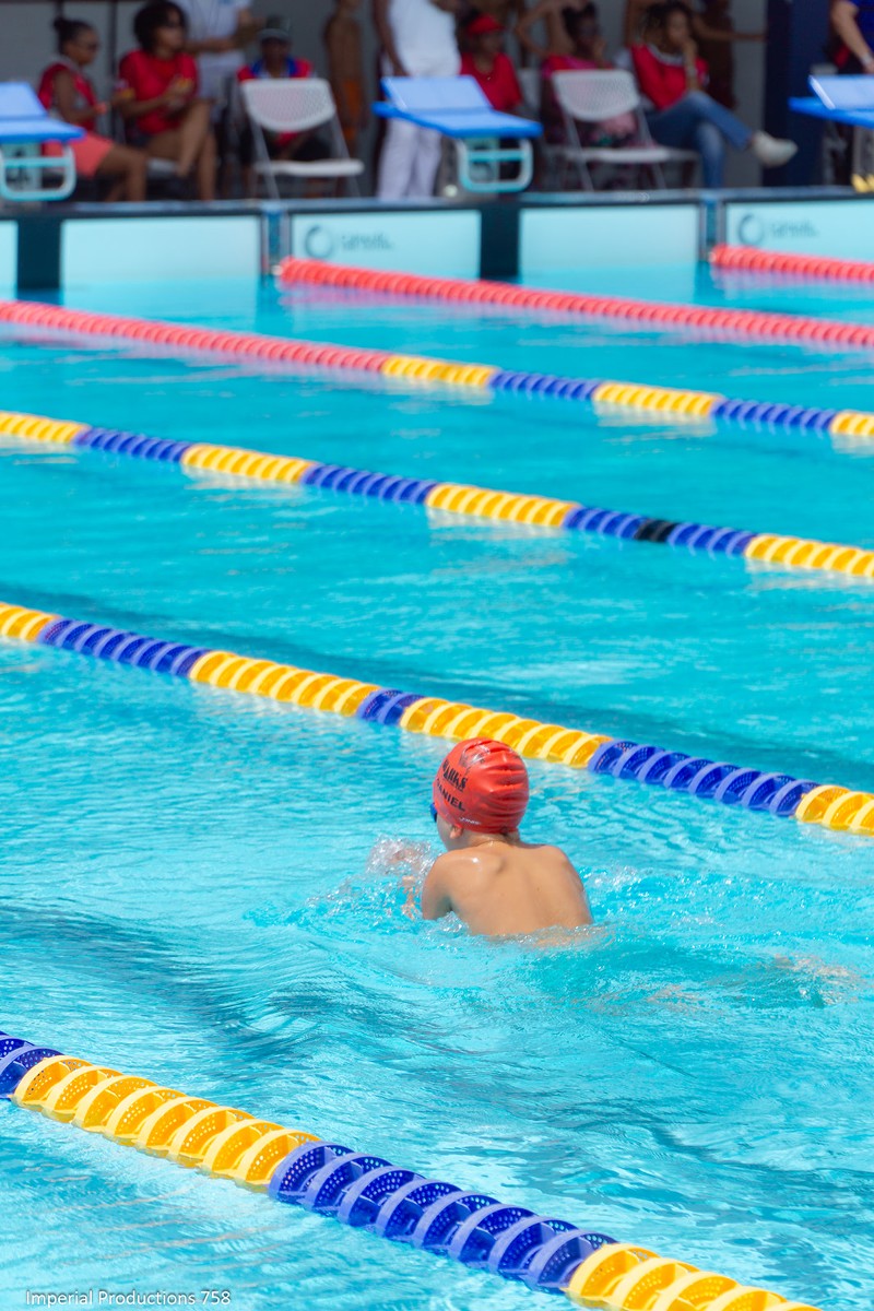 Sharks Swim Club Home