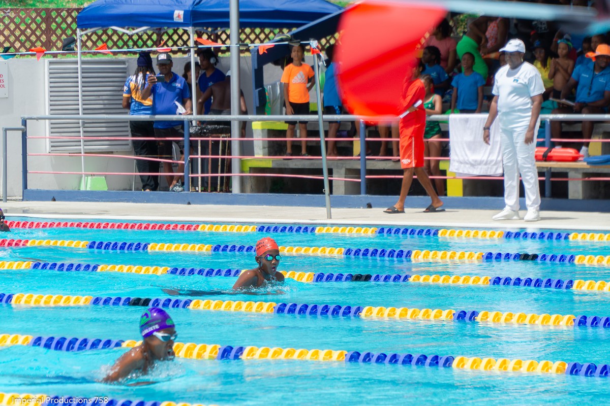 Sharks Swim Club Home