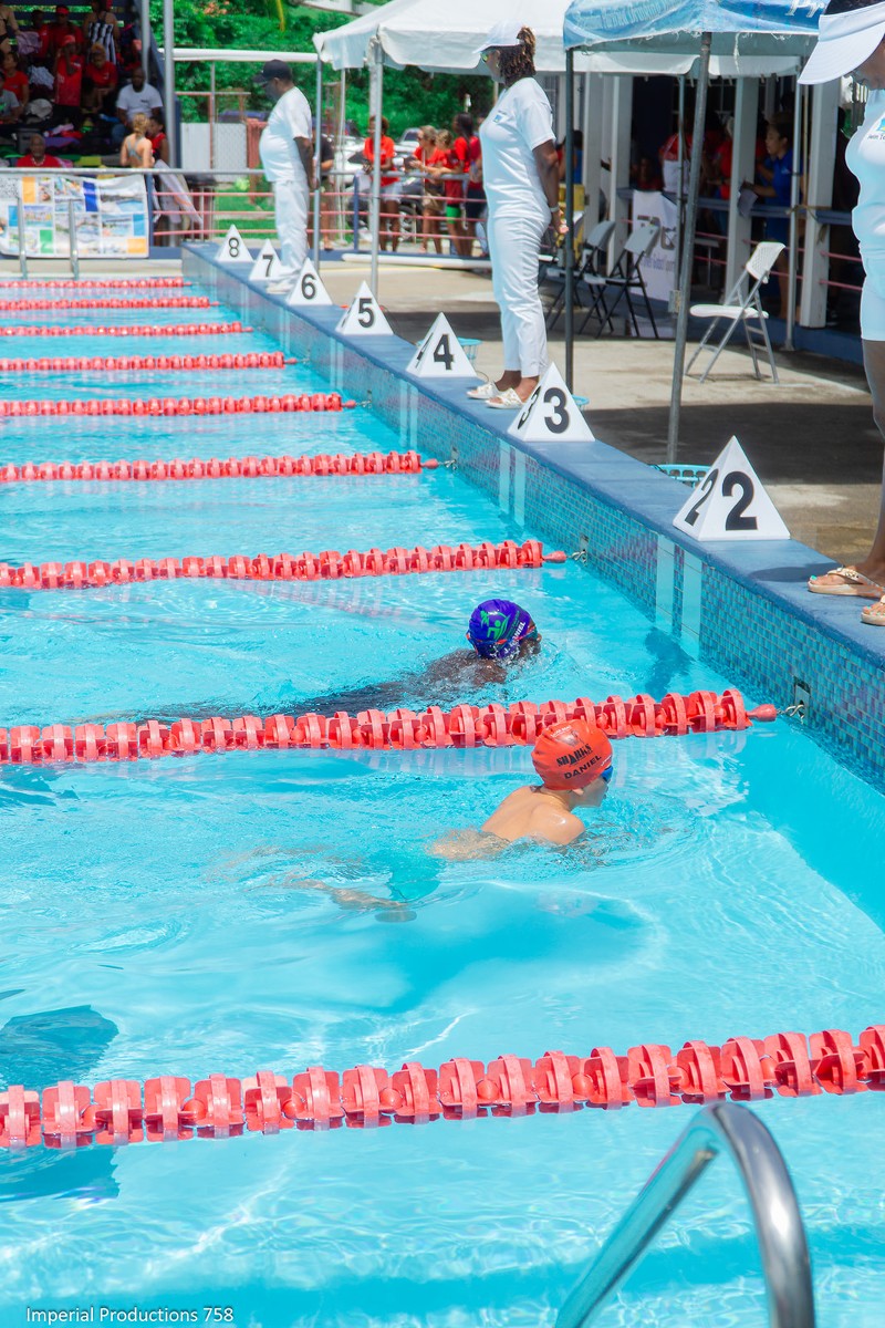 Sharks Swim Club Home