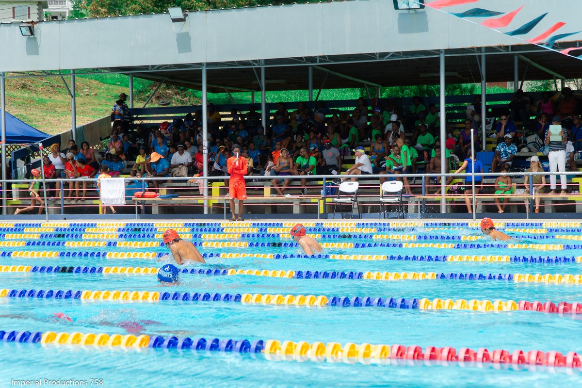 Sharks Swim Club Home