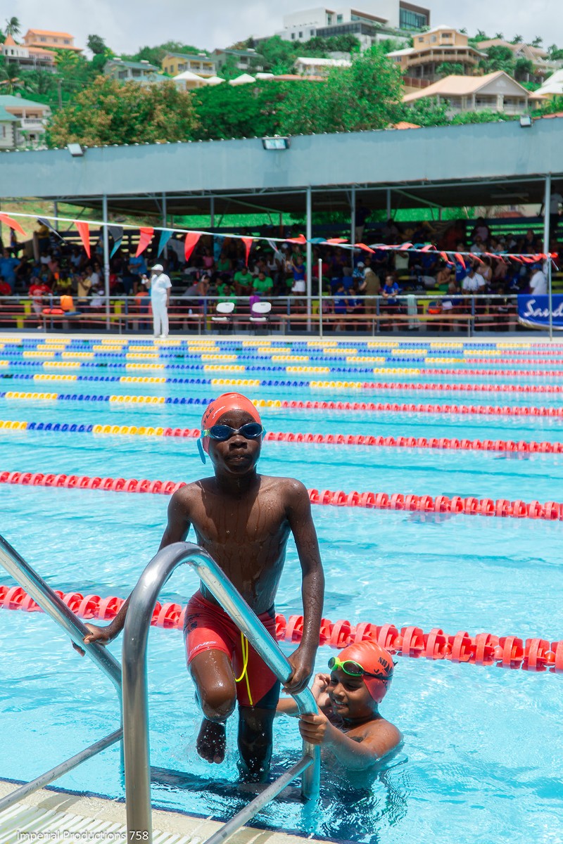 Sharks Swim Club Home