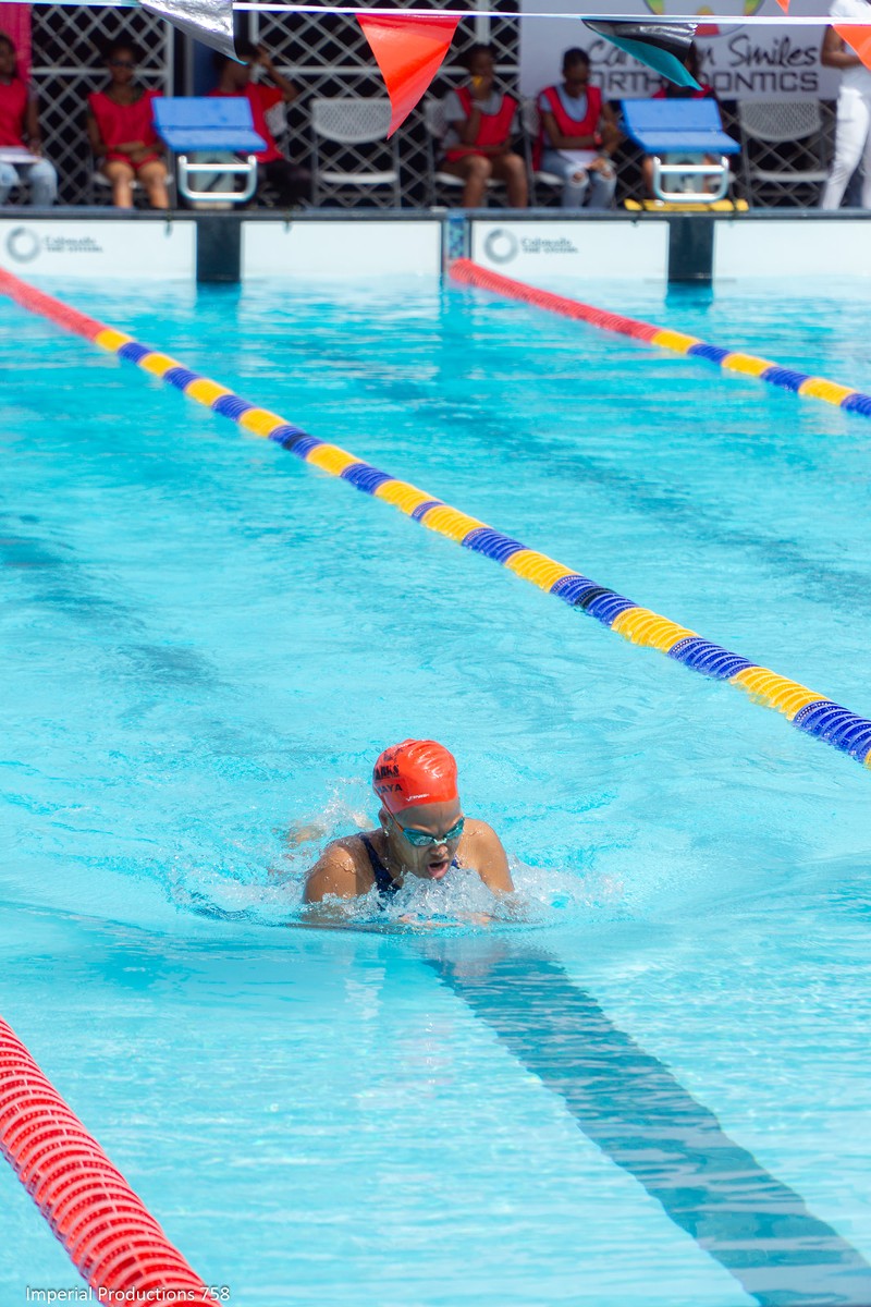 Sharks Swim Club Home