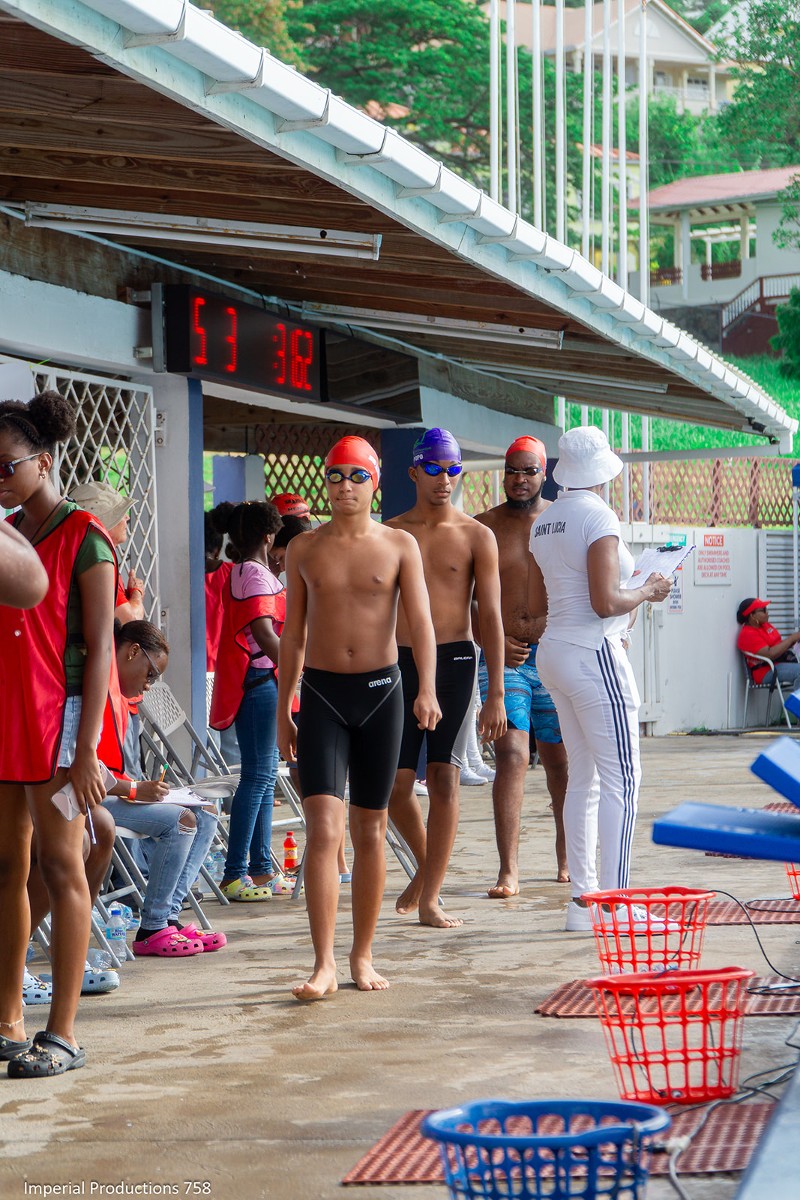 Sharks Swim Club Home