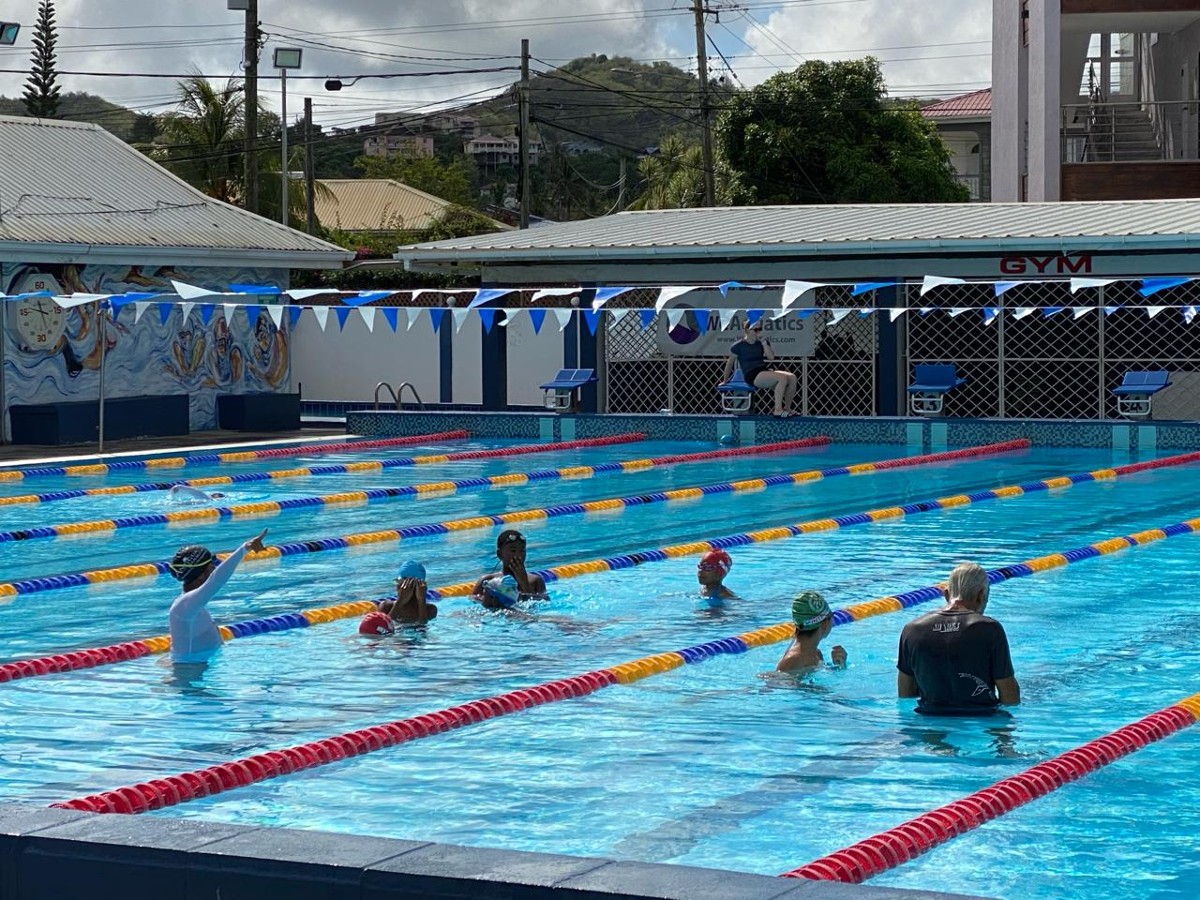 Sharks Swim Club Home