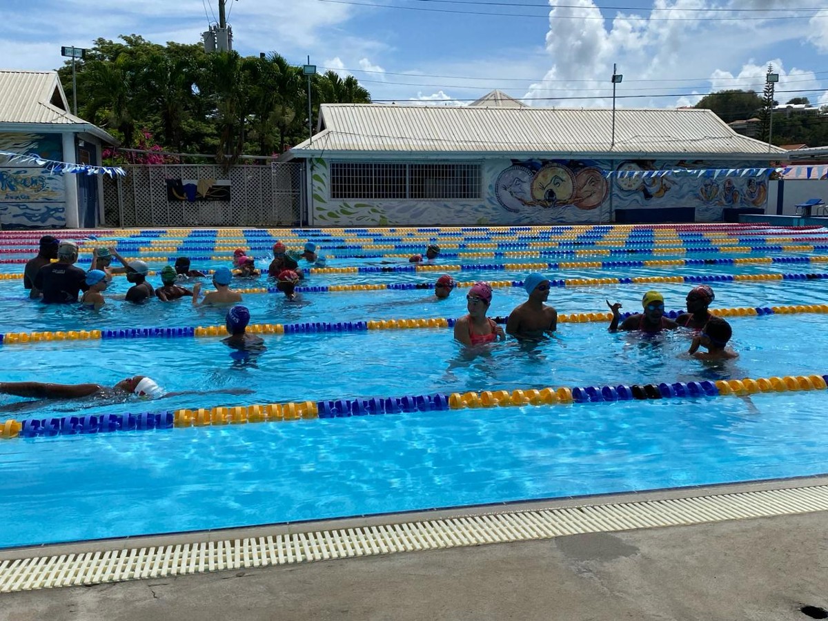 Sharks Swim Club Home