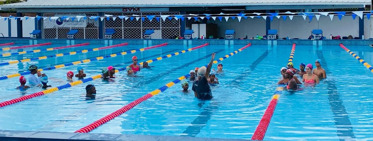 Sharks Swim Club Home