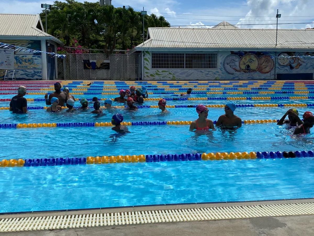 Sharks Swim Club Home