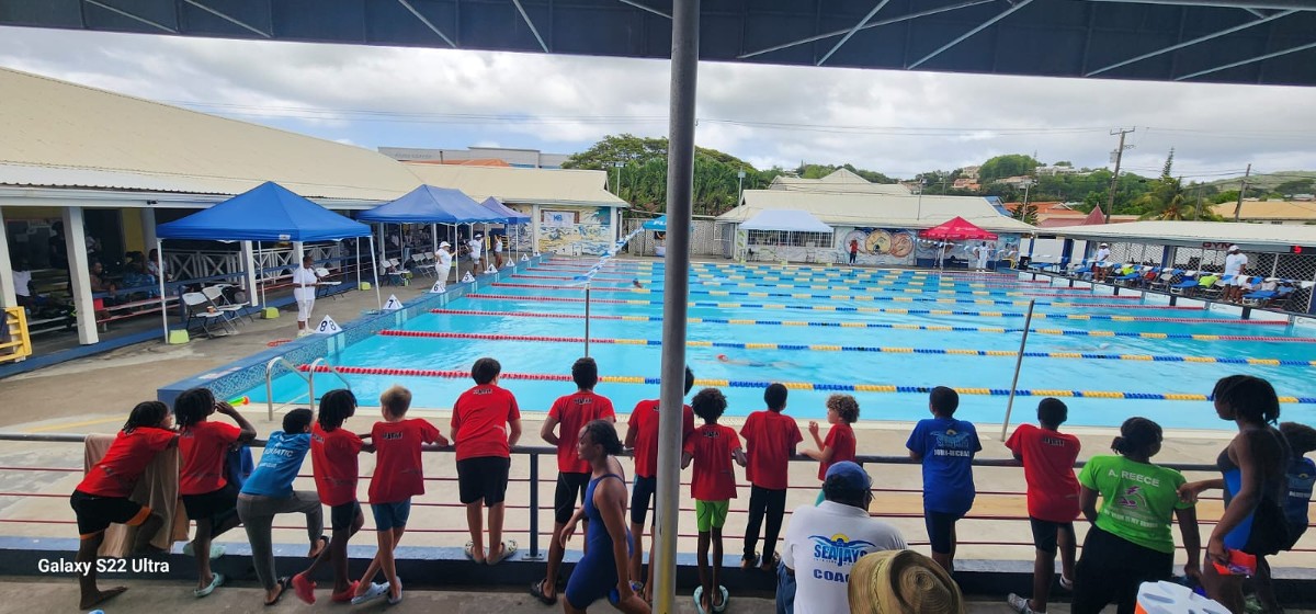 Sharks Swim Club Home