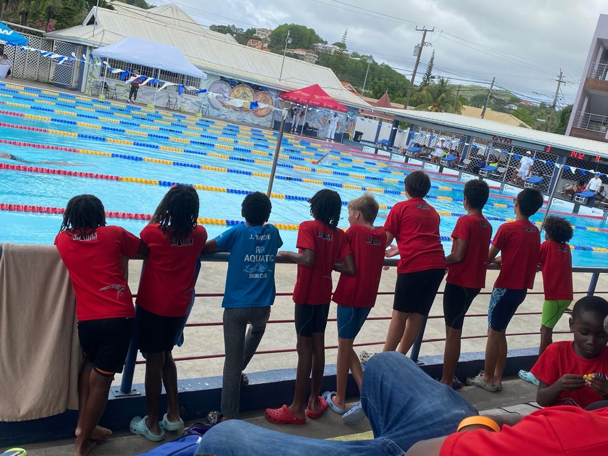 Sharks Swim Club Home