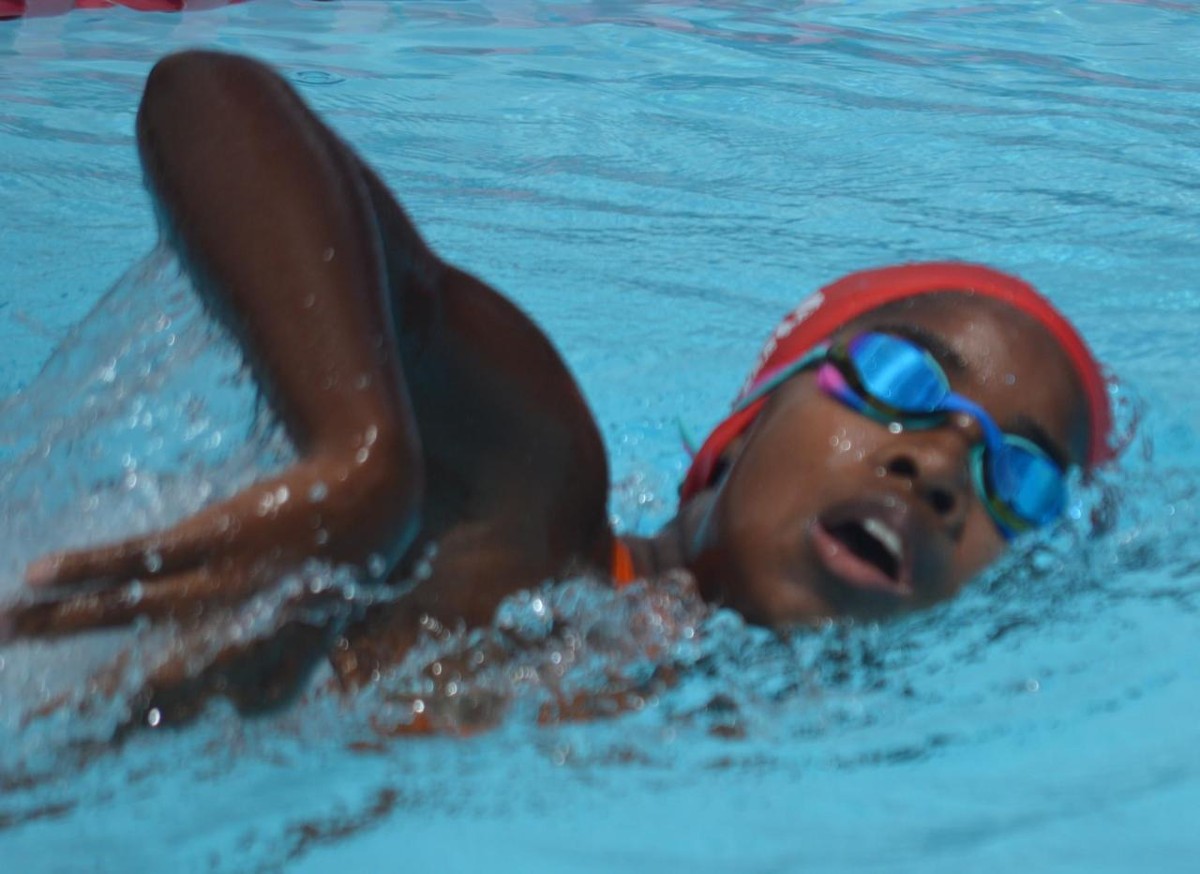 Sharks Swim Club Home